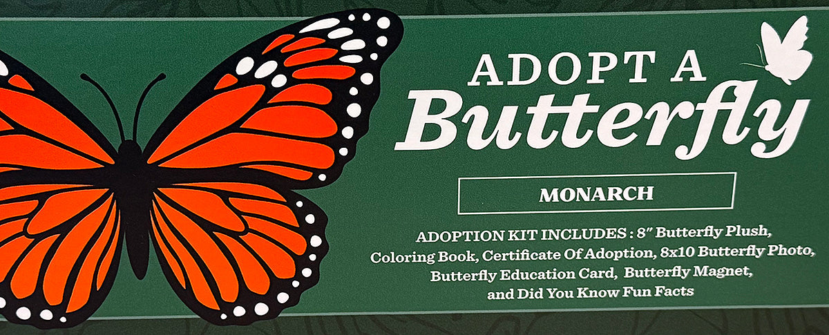 Monarch Adopt-A-Butterfly Kit – Butterfly Wonderland Treasures